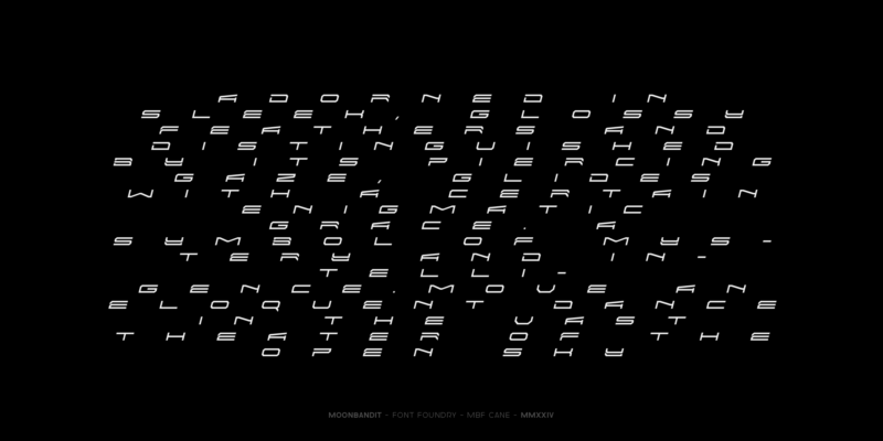 MBF Cane - Moonbandit Font Shop Foundry